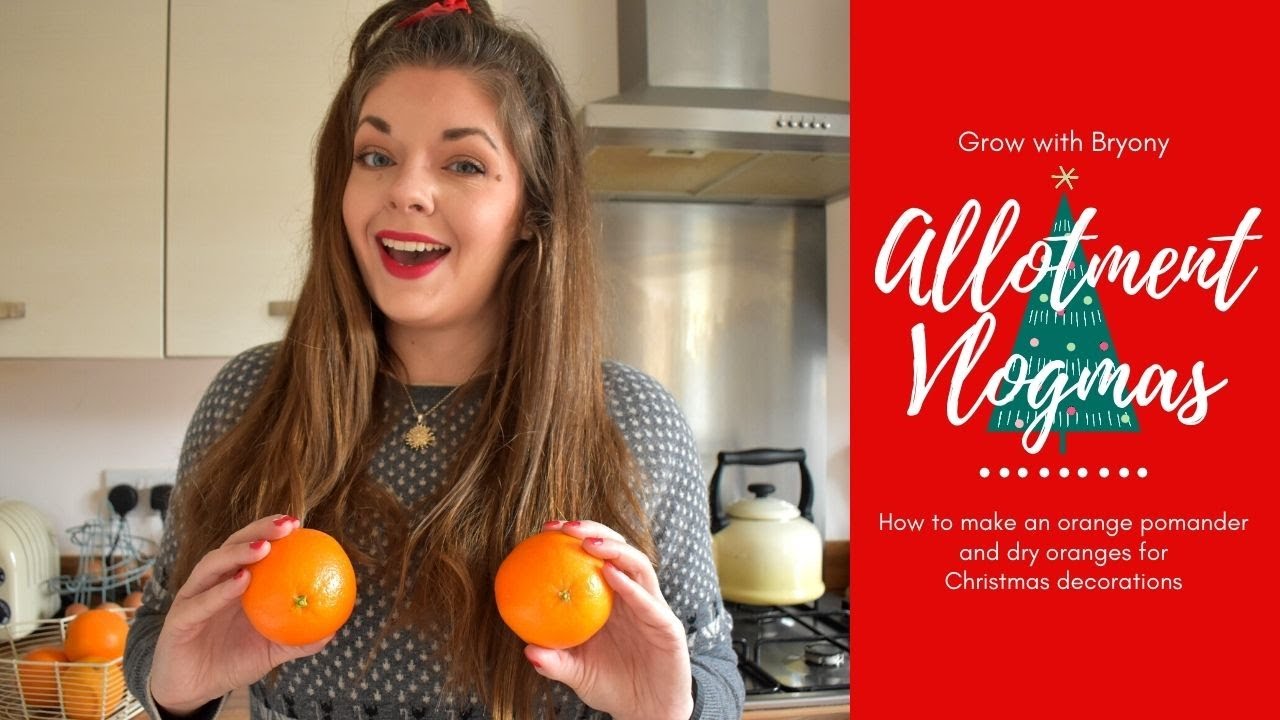 Making an orange pomander and drying oranges for Christmas Decorations ...