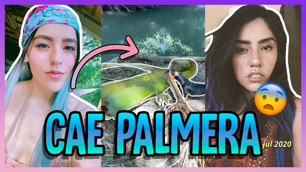 CAE PALMERA CON ARIA Y KLER OMG 😱 | LOS POLINESIOS - YouTube