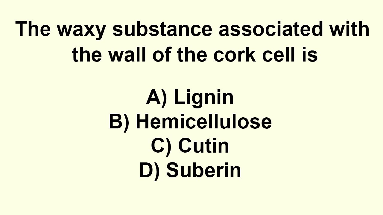 The waxy substance associated with the wall of the cork cell is - YouTube