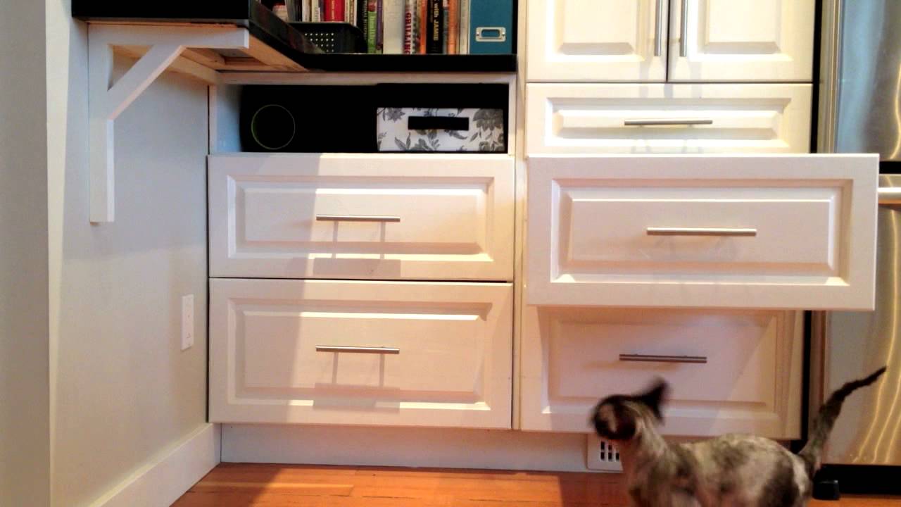 cat opens drawer - YouTube