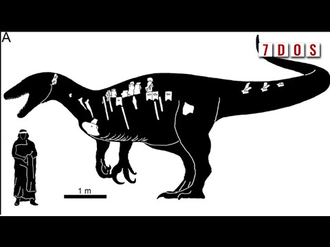 A Giant New Megaraptorid From South America | 7 Days of Science - YouTube