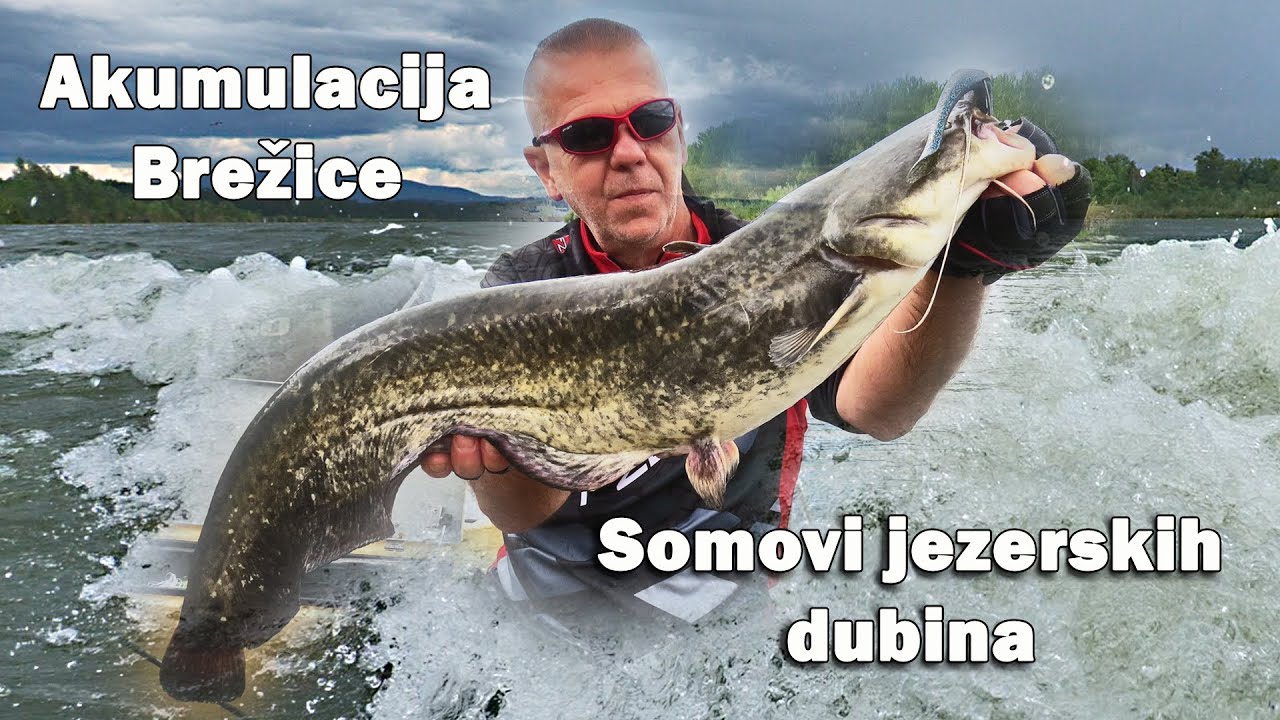 Somovi jezerskih dubina - Akumulacija Brežice / VSP Igor Pavičić - YouTube