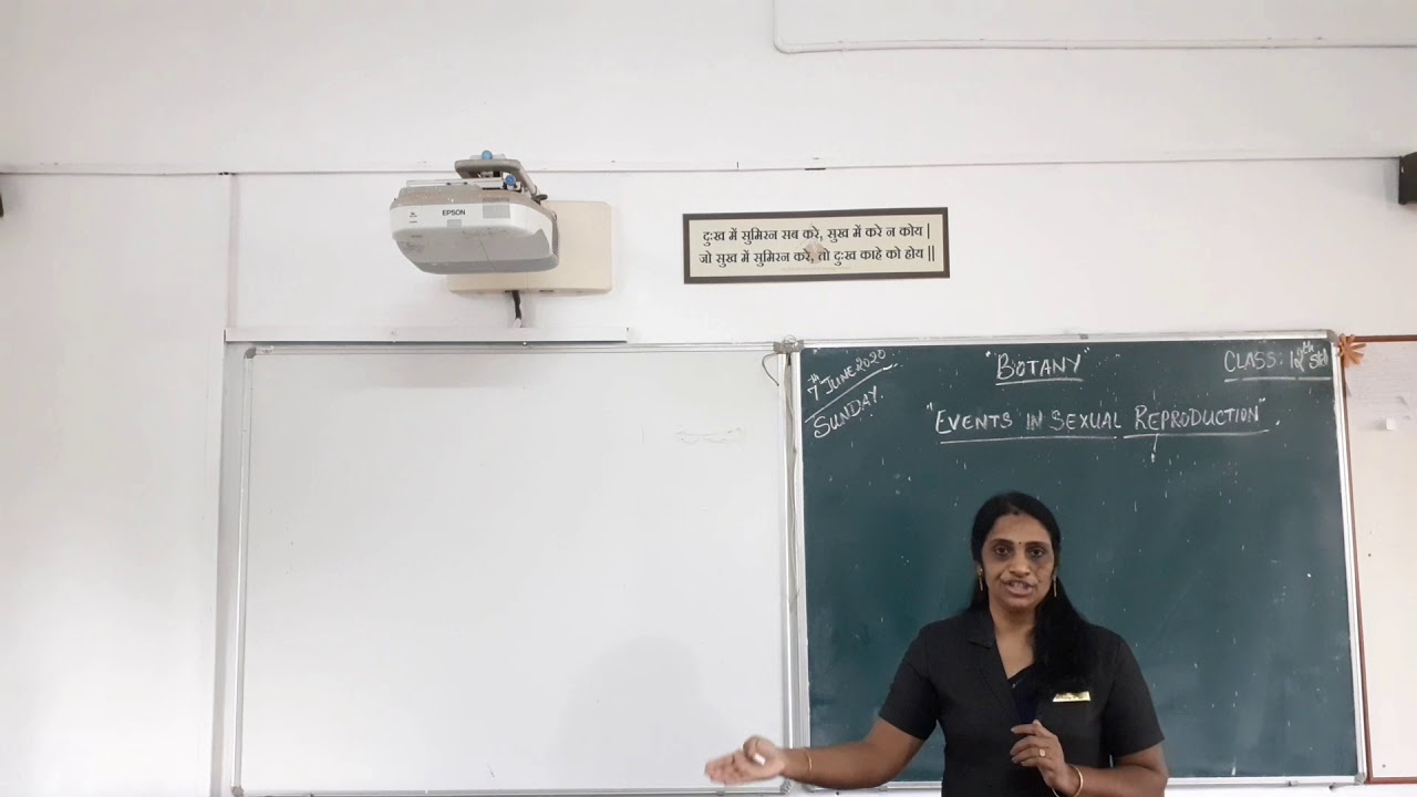 Class 12 Botany Chapter 1 - Reproduction in Organism (Part 2) - YouTube