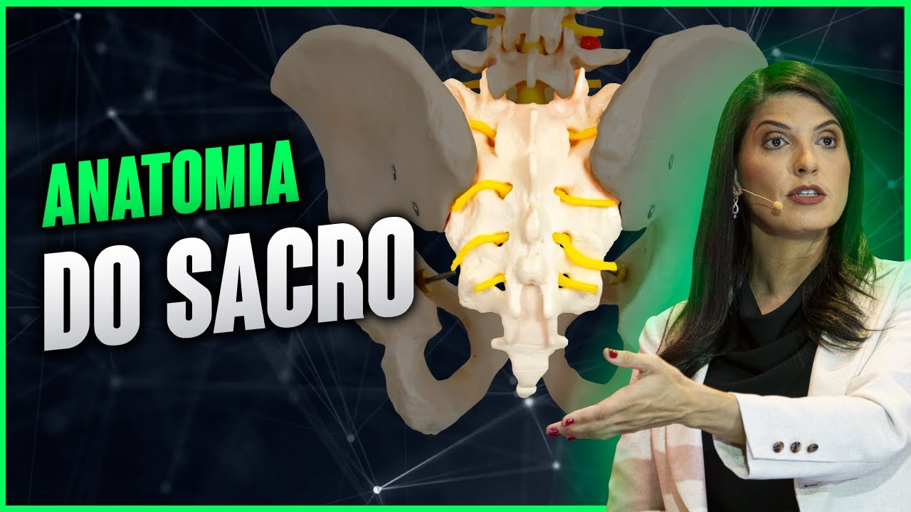 ANATOMIA DO SACRO por Dra Walkyria Fernandes - YouTube