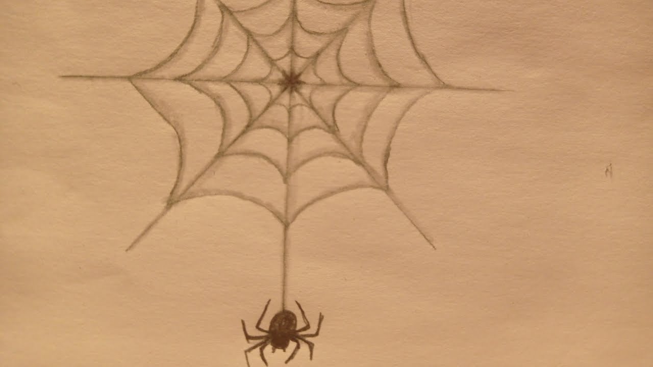 how to draw easy spider web / spider drawing with siva/ simple spider ...