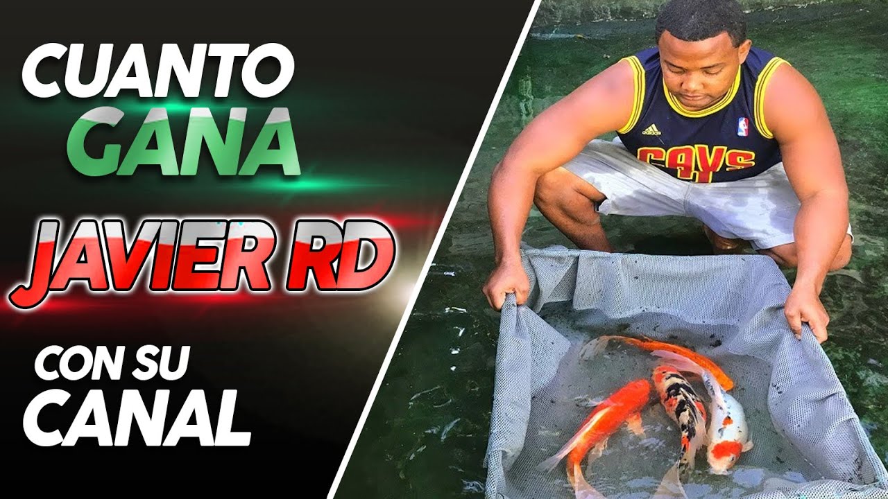💲 JAVIER RD CUANTO GANA EN YOUTUBE | CRIADERO DE BETTA Y GOLDFISH ...