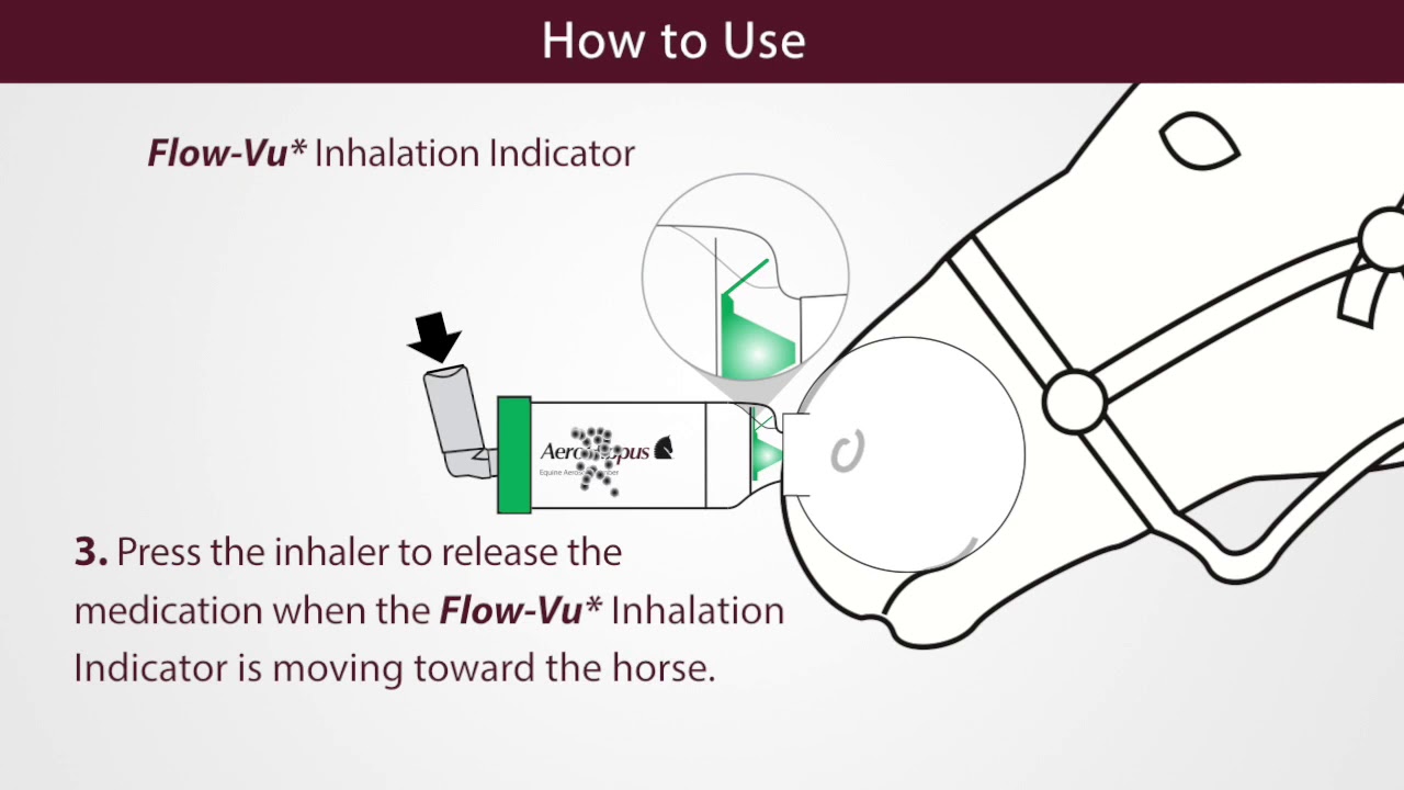 AeroHippus Equine Aerosol Chamber - YouTube