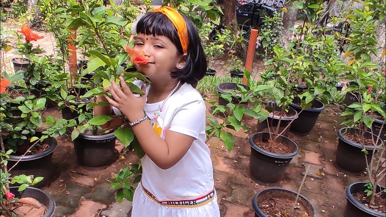 World Environment Day.... A ukg activity - YouTube