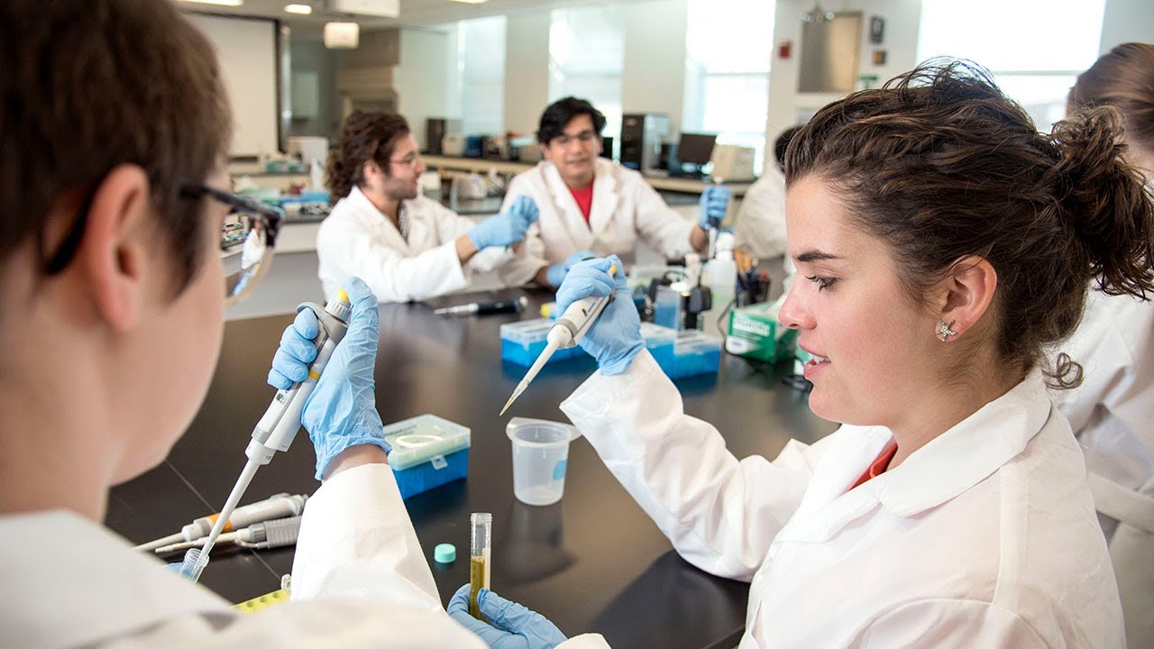 Study Bioengineering at The Grainger College of Engineering - YouTube