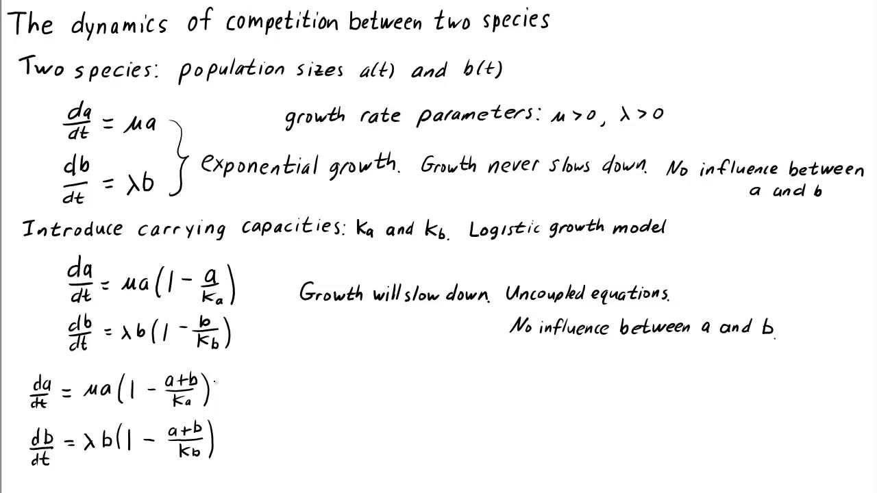 The dynamics of competition between two species - YouTube