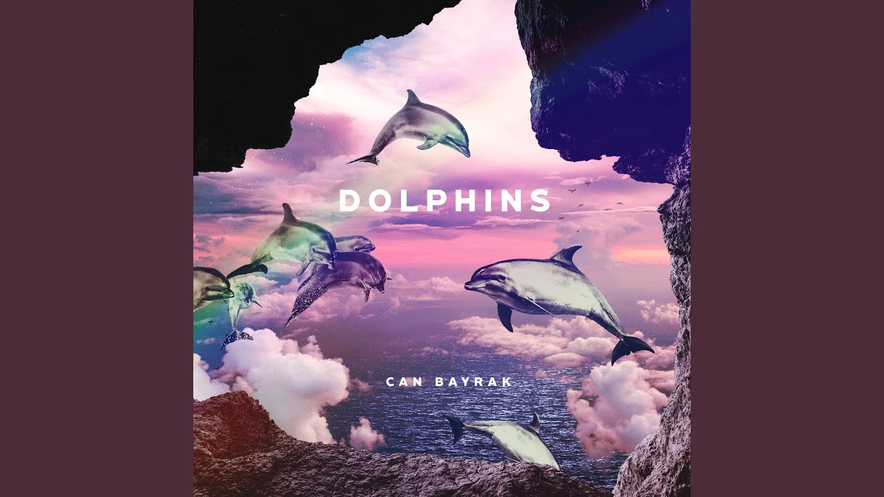 Dolphins - YouTube