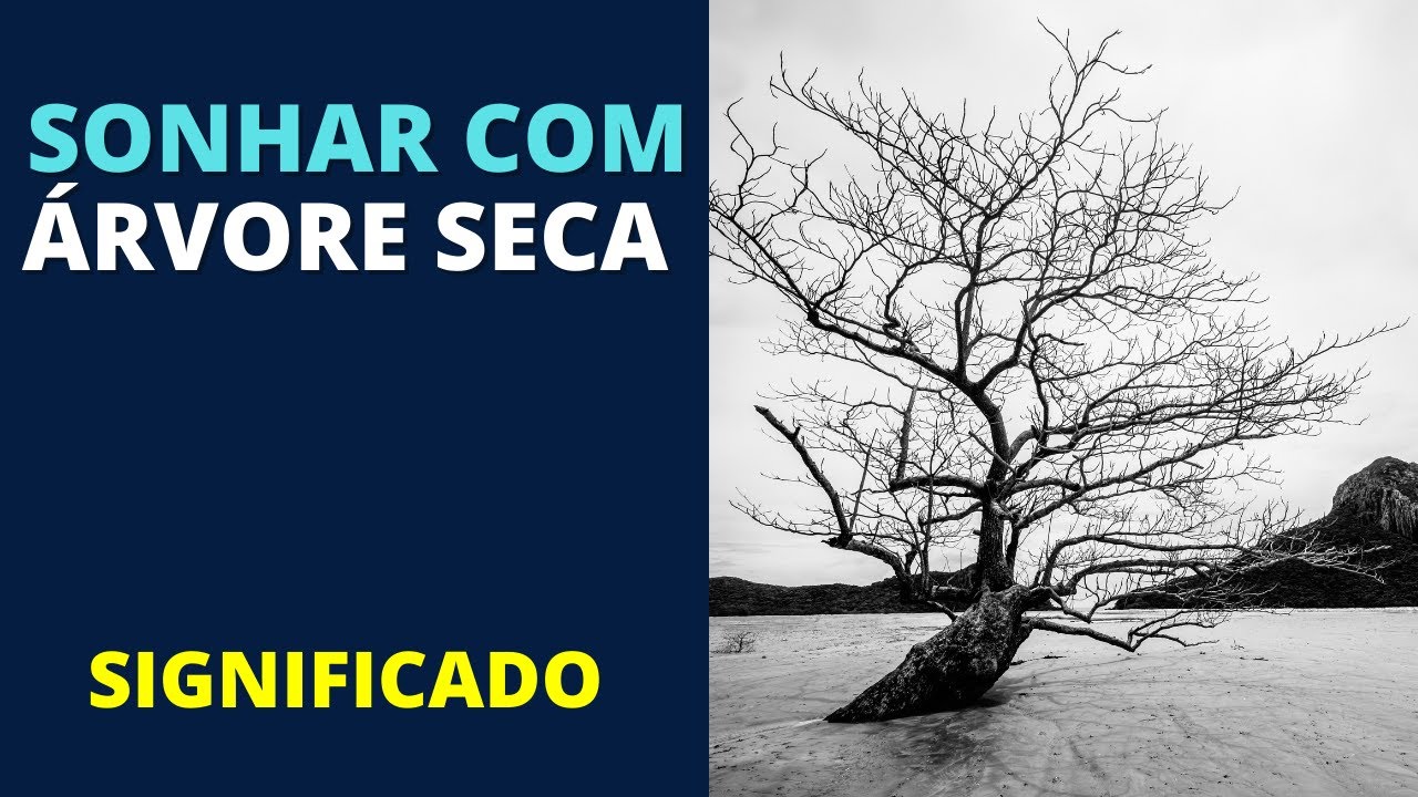 Sonhar com ÁRVORE SECA - Entenda o significado - YouTube