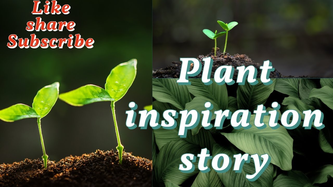 ||Resilient Plant Inspires|| inspiration story of plant #english # ...