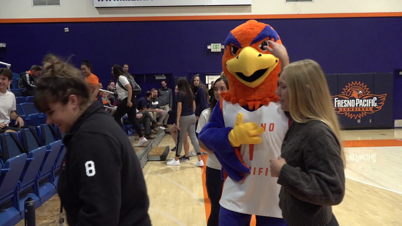 Sunny the Sunbird Reveal - YouTube