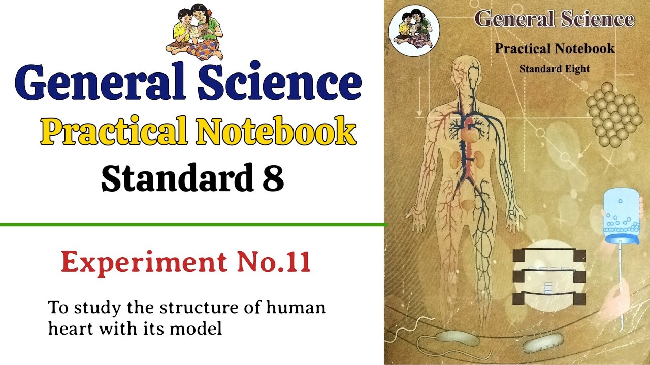 Experiment No.11 | Std 8th General Science practical Notebook answers ...