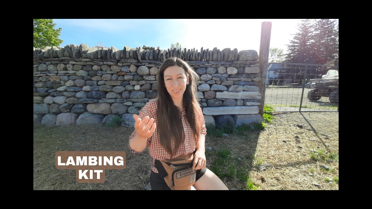Lambing Kit UnBoxing - YouTube