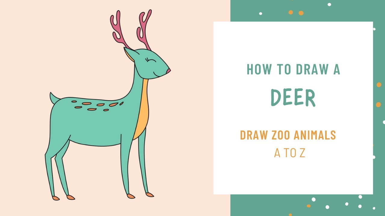 How to Draw a Deer | Draw Zoo Animals from A to Z | What the Doodle ...