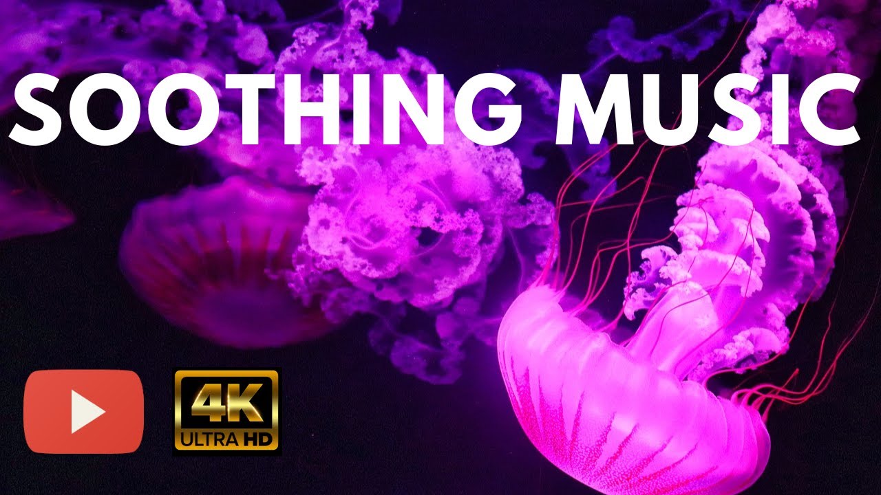 Relaxing Piano Music with Jellyfish & Turtles: Sleep, Relaxation, and ...