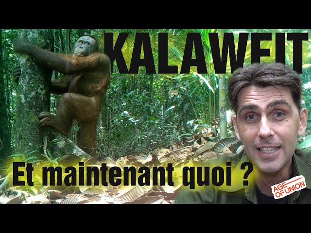 Kalaweit - Pour la sauvegarde de la biodiversité en Indonésie