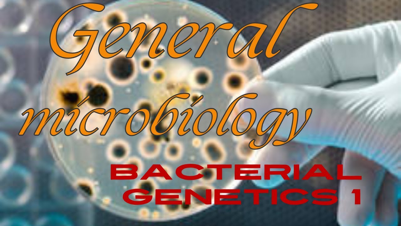 General Microbiology (03)l Bacterial Genetics part 1 - YouTube