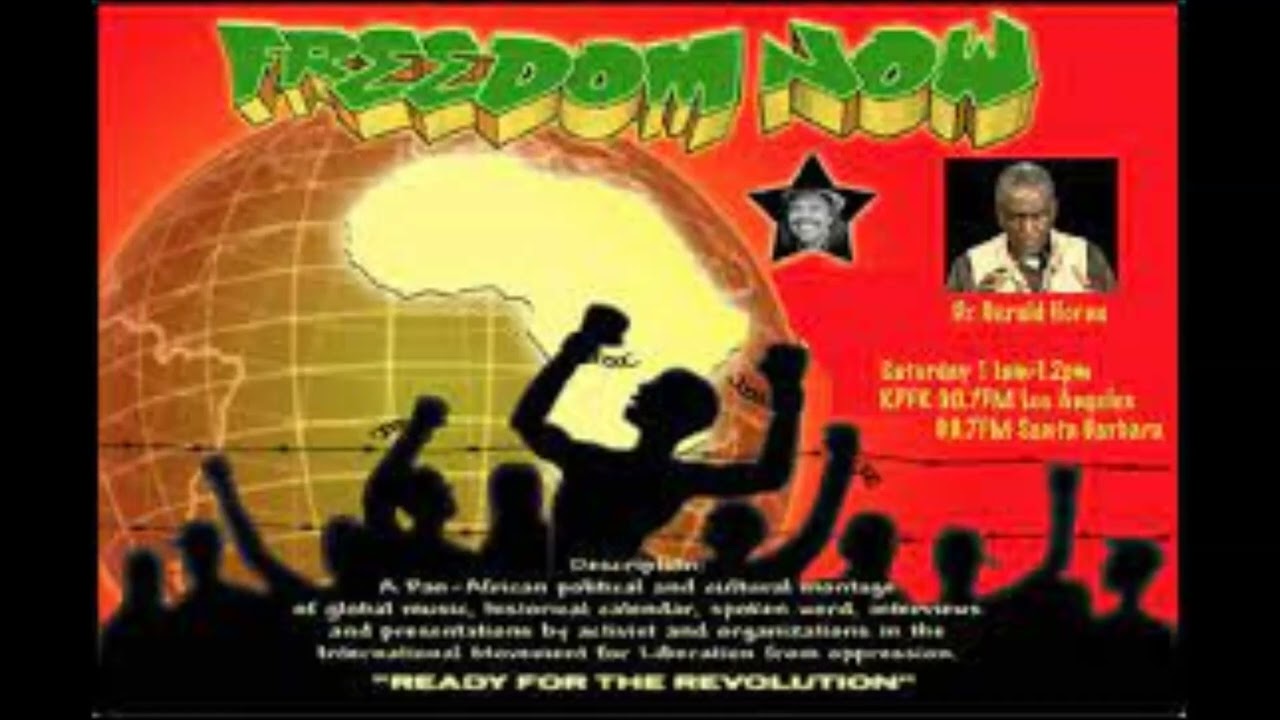 Freedom Now w/ Gerald Horne interviews Prof Hammer on George Crockett ...