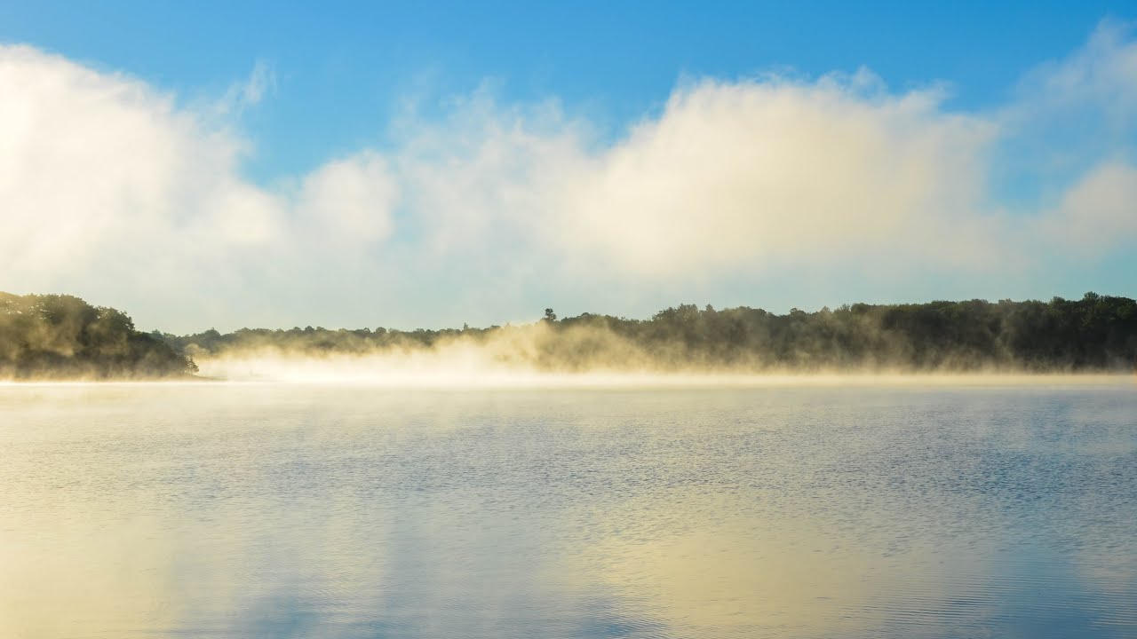 Nikon D5100 Sample Pictures 2021 - YouTube