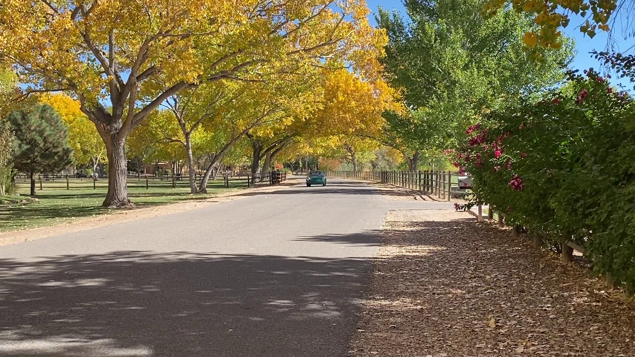 356 Outlaw autumn drive out - YouTube