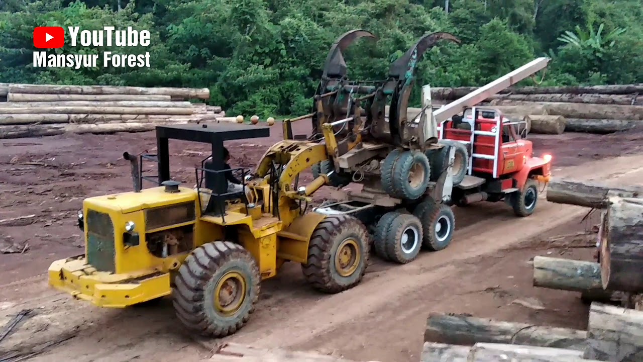 Muat Logs Ke Logging Truck Menggunakan Unit Wheel Loader Part 2 - YouTube