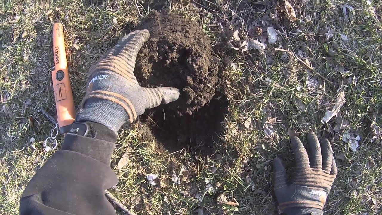 first hunt of 2016 - YouTube