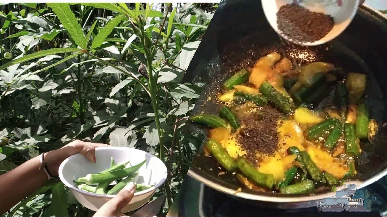 How to make okra Curry|Bhindi masala| Special okra recipe| bhindi curry ...