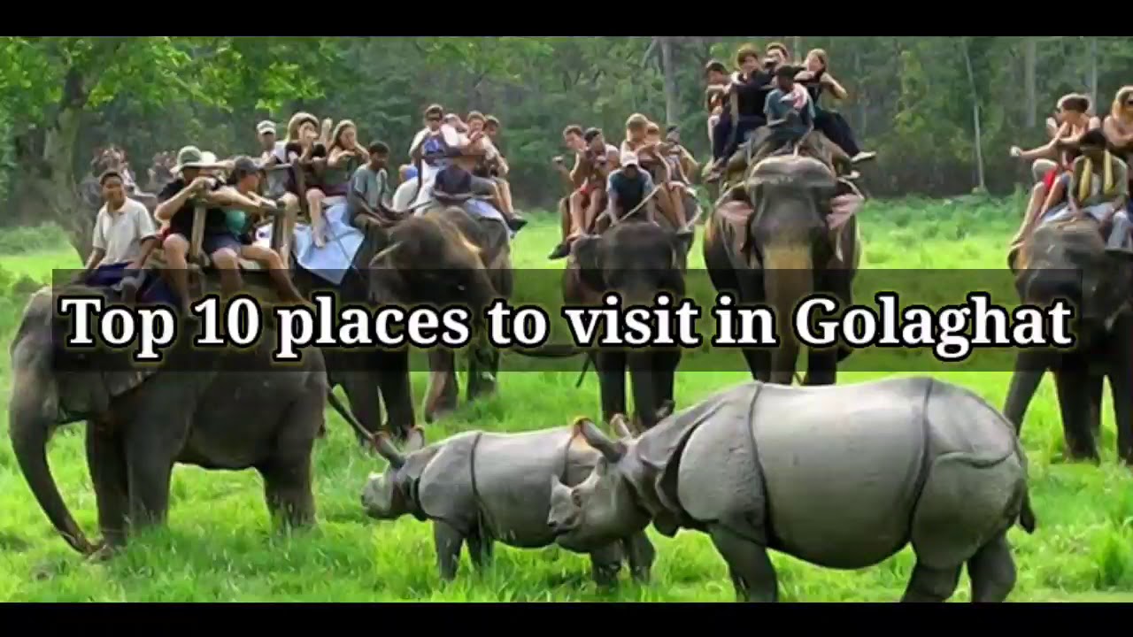 Golaghat Assam | Top 10 Places to Visit in Golaghat - YouTube