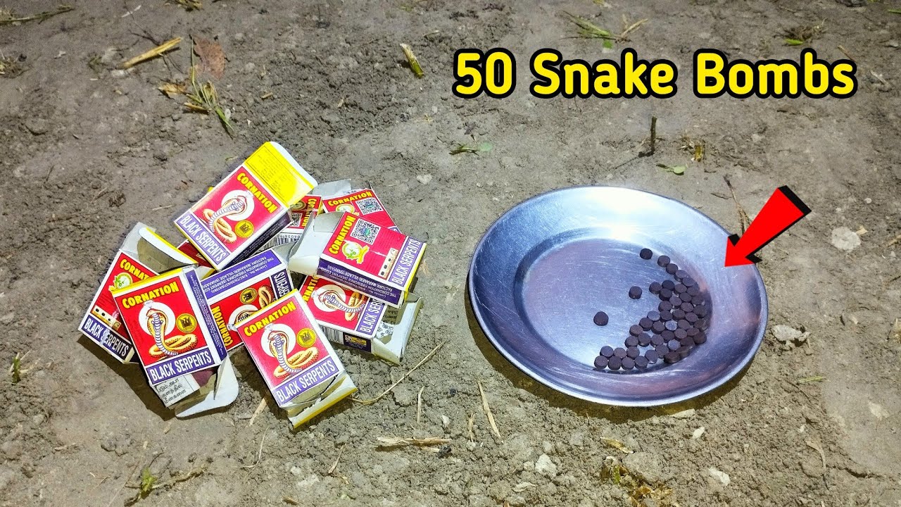 इसे देखकर आप चौक जाएगें - Snake Bombs🐍 (सांप की गोलियां) | कितना बड़ा ...