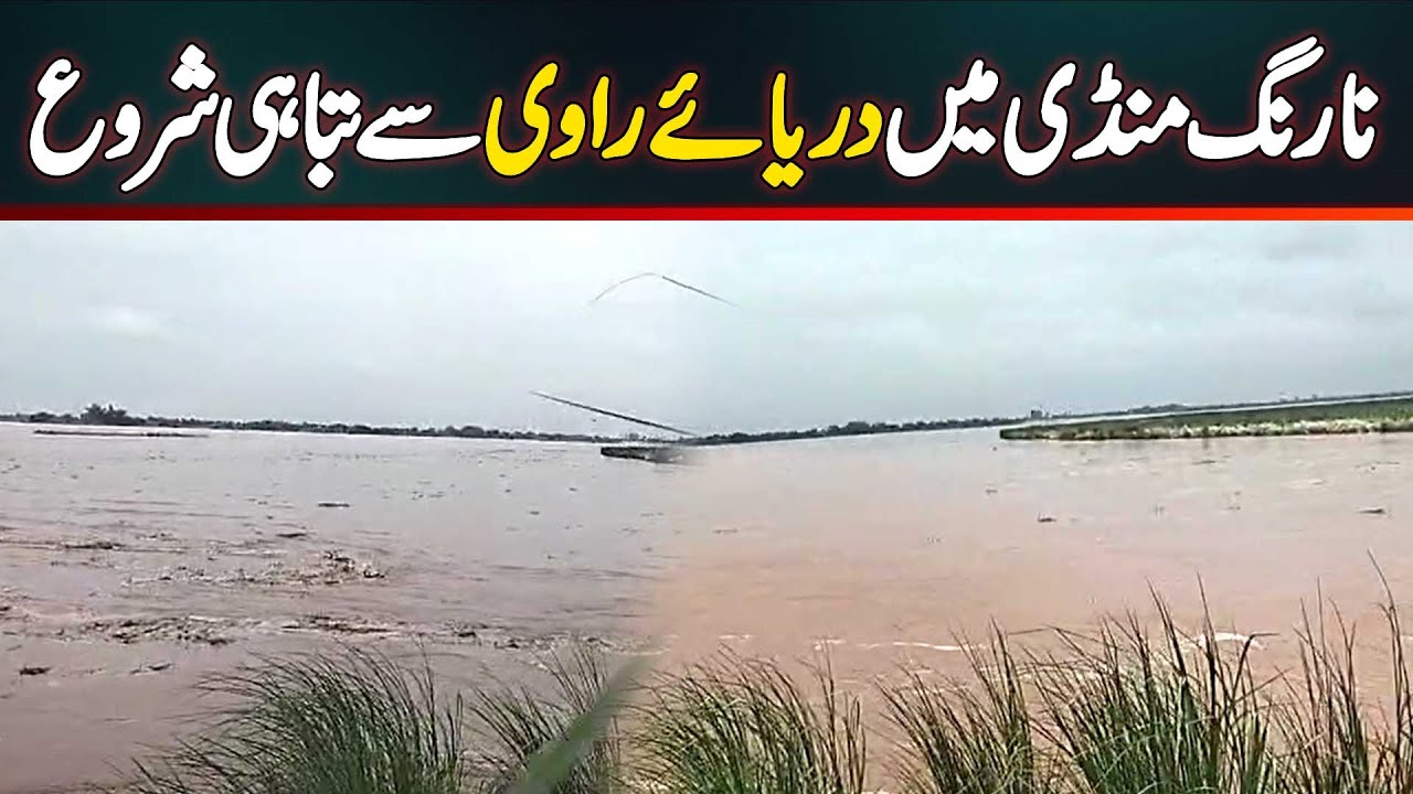 Narang Mandi Flood - Ravi River Devastation Begins in Narang Mandi ...
