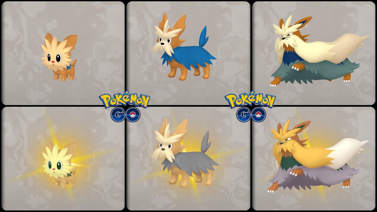 Pokemon Go: EvolvingNormal & Shiny Lillipup into Herdier & Stoutland ...