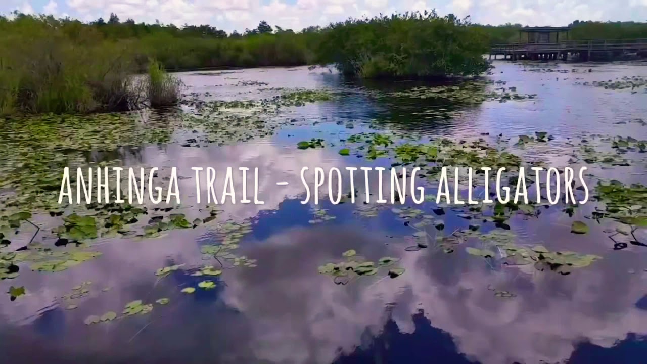 Key to the West: Trip to Florida (Key West, Miami, Islamorada ...