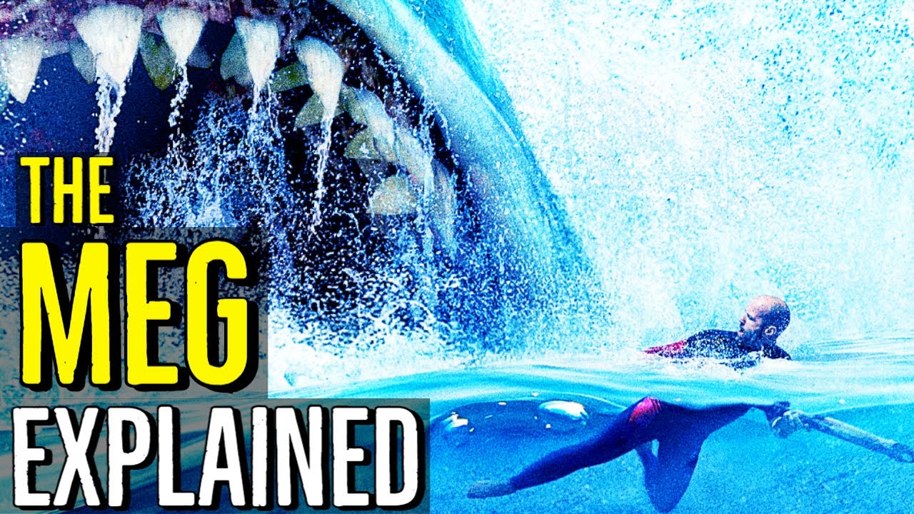 That Time Jason Statham Fought A Megalodon - THE MEG Explained - YouTube
