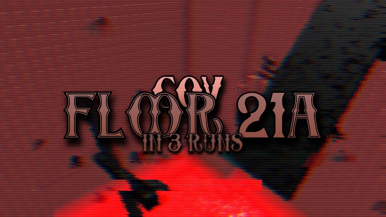 [NIL] Citadel of Void // FLOOR 21A // IN 3 RUNS [READ DESC] - YouTube