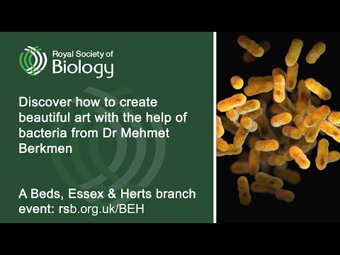 Arts with Bacteria | Royal Society of Biology Beds, Essex and Herts branch