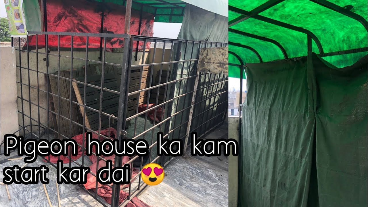 pigeon house ka kam start kar dai 😍 - YouTube