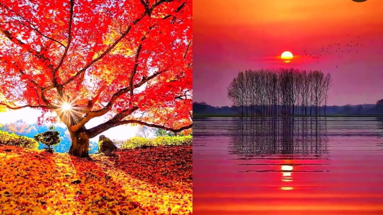 absolutely beautiful season | Go Viral video | - YouTube