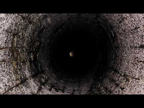 Orxan Tagizade - A Purified Life
