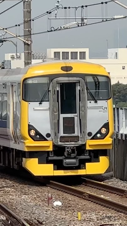 葛西臨海公園を通過するE257系500番台NB-02編成 - YouTube
