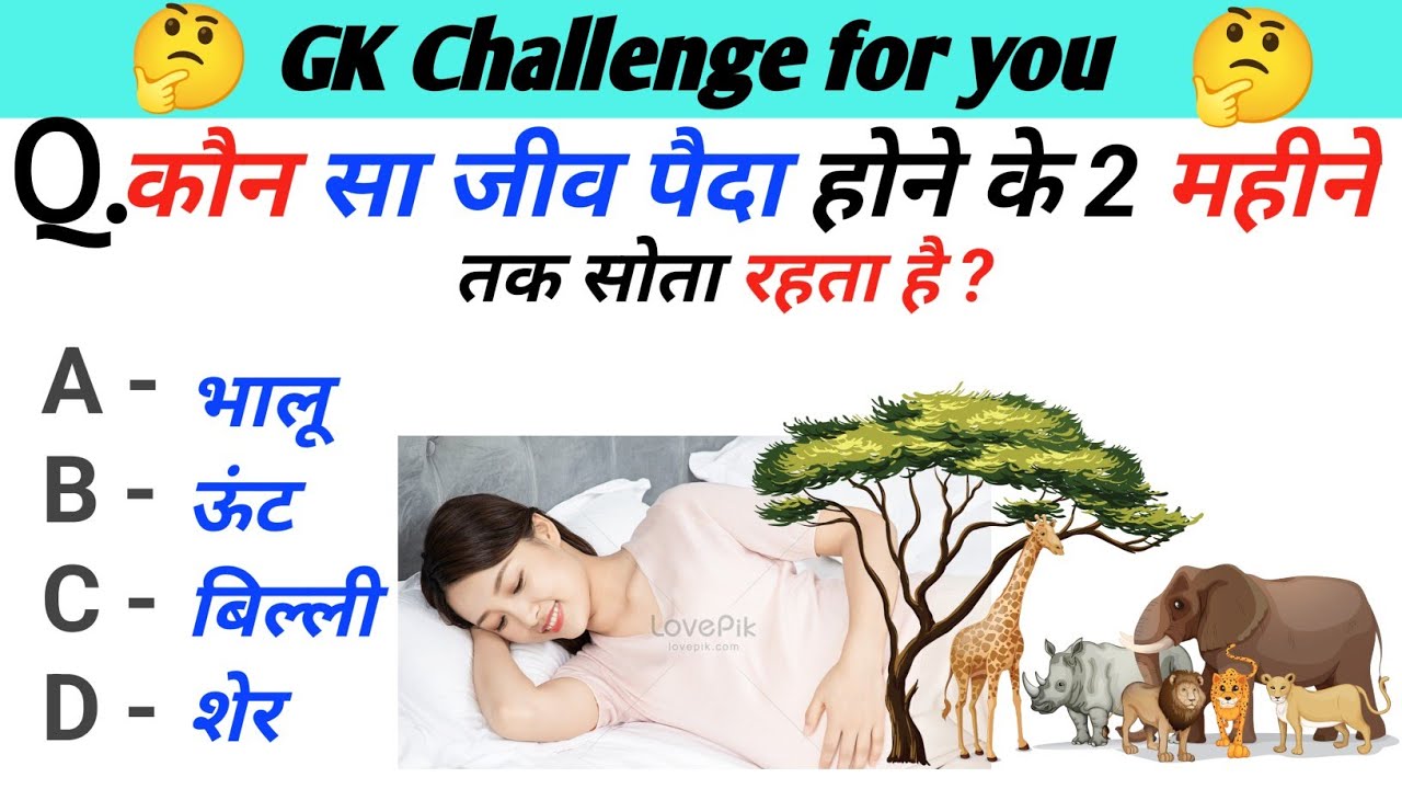 GK Question || Gk questions and answers || General Knowledge | Gk Quiz || Gk in hindi ||Biju Gk ...