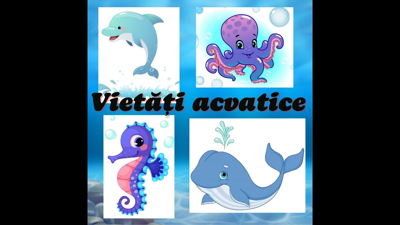 Animale acvatice: Delfinul. Caracatița. Balena. Căluț de Mare. # ...