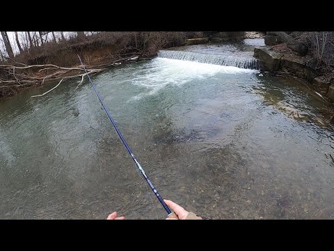 Trout Fishing New PA Streams in January With Big Results #trout # ...