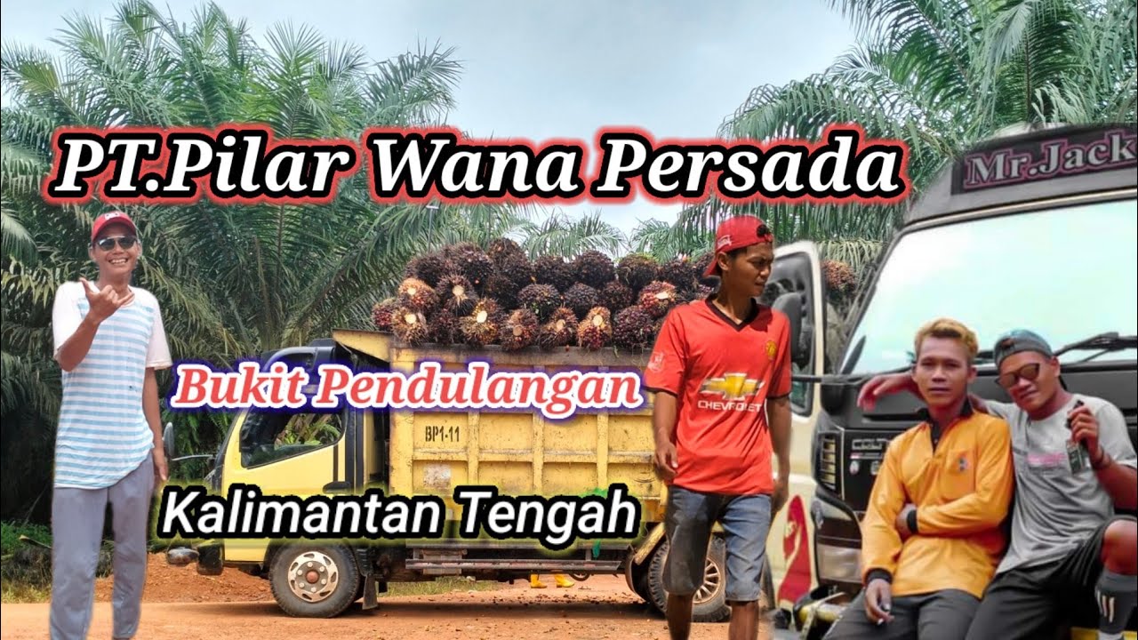 Bukit Pendulangan PT. Pilar Wana Persada Kalimantan Tengah - YouTube