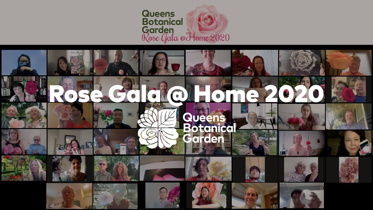 Rose Gala at Home 2020 - YouTube
