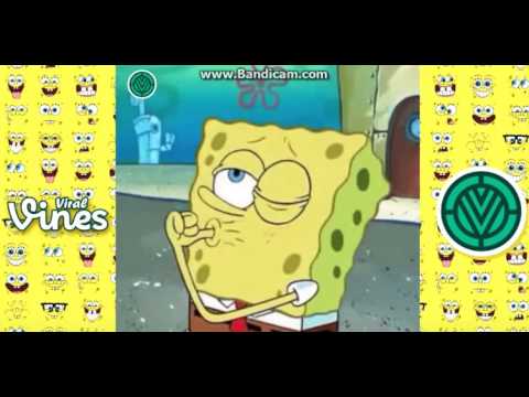 Spongebob Vine #7 - YouTube
