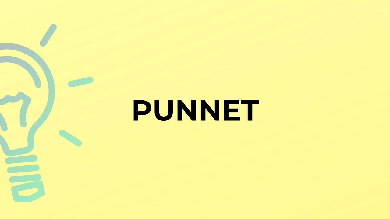 What is the meaning of the word PUNNET? - YouTube