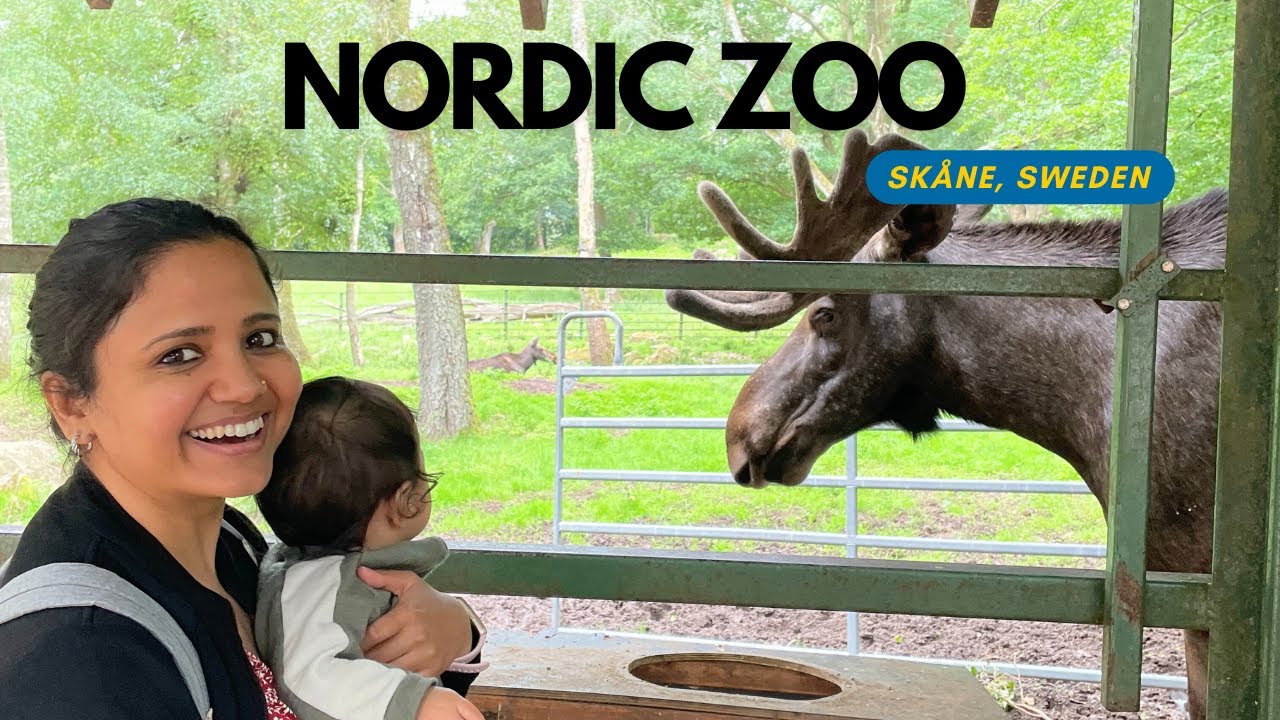 Visited Nordic Animal Zoo in Sweden - YouTube